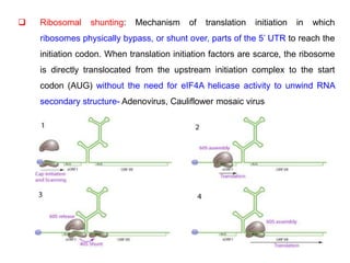 Replication of RNA viruses.ppt