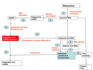 Replication of RNA viruses.ppt