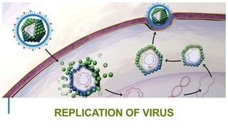 REPLICATION OF VIRUS | PPTX