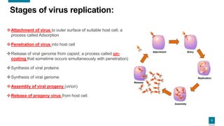 REPLICATION OF VIRUS | PPTX