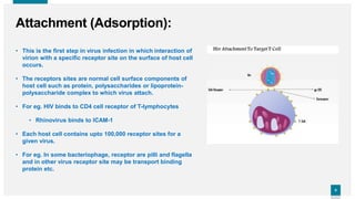 REPLICATION OF VIRUS | PPTX