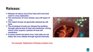 REPLICATION OF VIRUS | PPTX