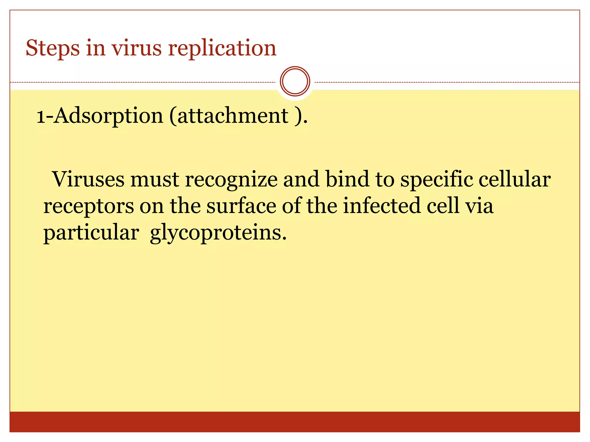 Replication of Virus.pptx