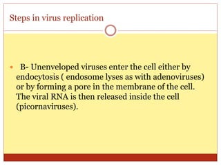 Replication of Virus.pptx