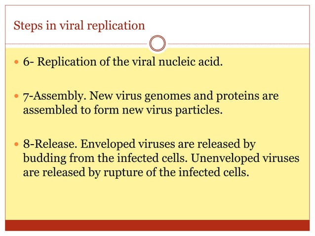 Replication of Virus.pptx