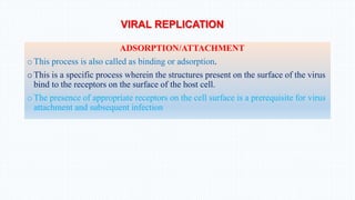Replication of virus.pptx by Manoj mahato | PPTX