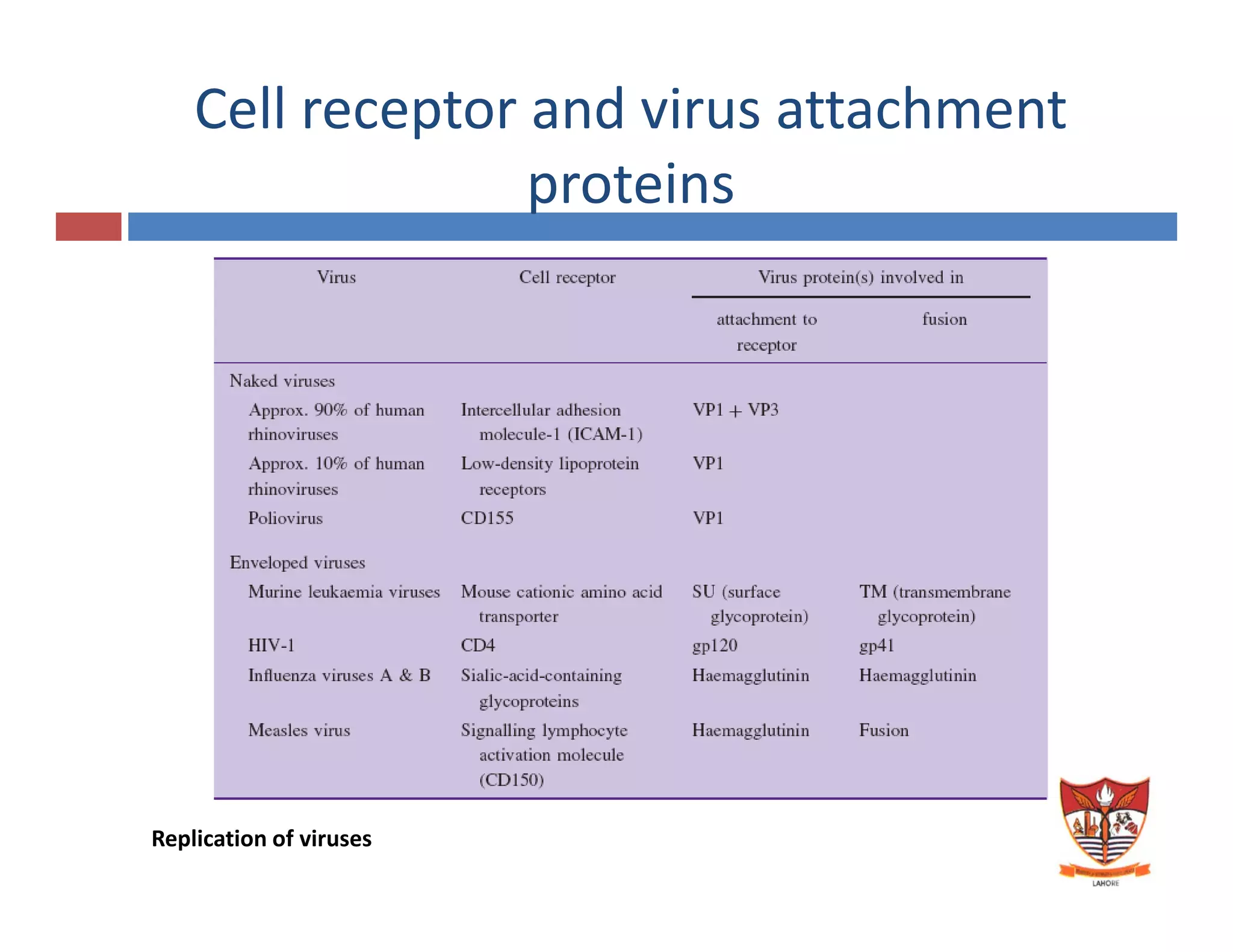 Replication of viruses | PDF