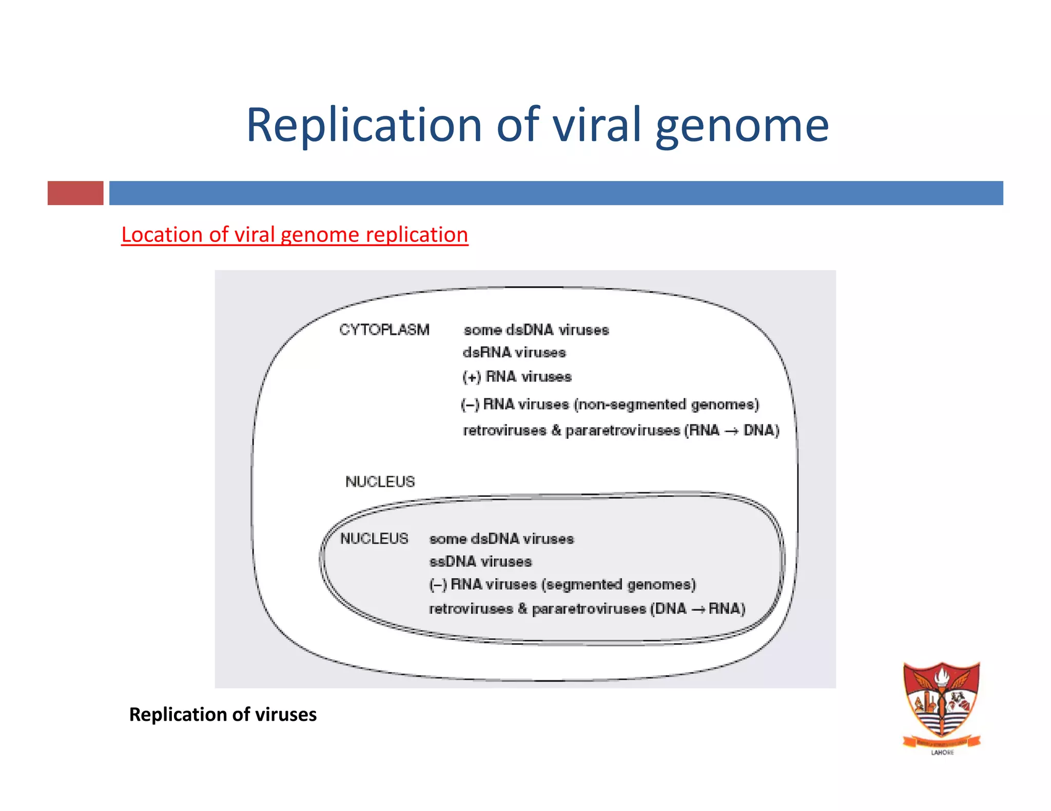 Replication of viruses | PDF