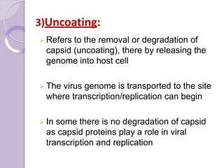 REPLICATION OF VIRUSES.pptx