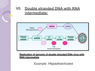 REPLICATION OF VIRUSES.pptx