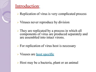 REPLICATION OF VIRUSES.pptx