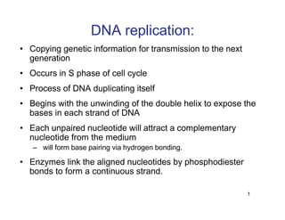 Replication Notes biology notes for easy | PPT