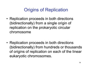 Replication Notes biology notes for easy | PDF
