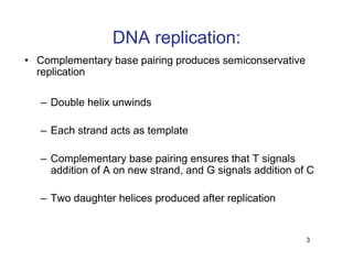 Replication Notes biology notes for easy | PPT