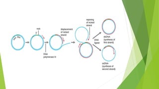 replication patterns | PPTX