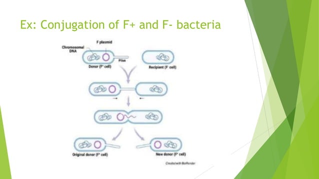 replication patterns | PPT