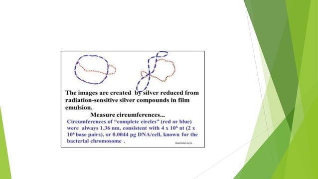 replication patterns | PPT