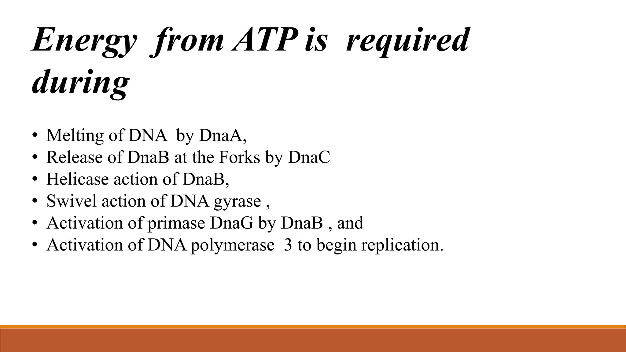 Prokaryotic Replication presentation | PPTX