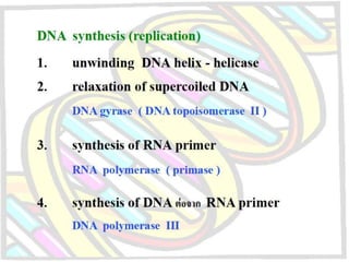 Replication & repair 504.pptx