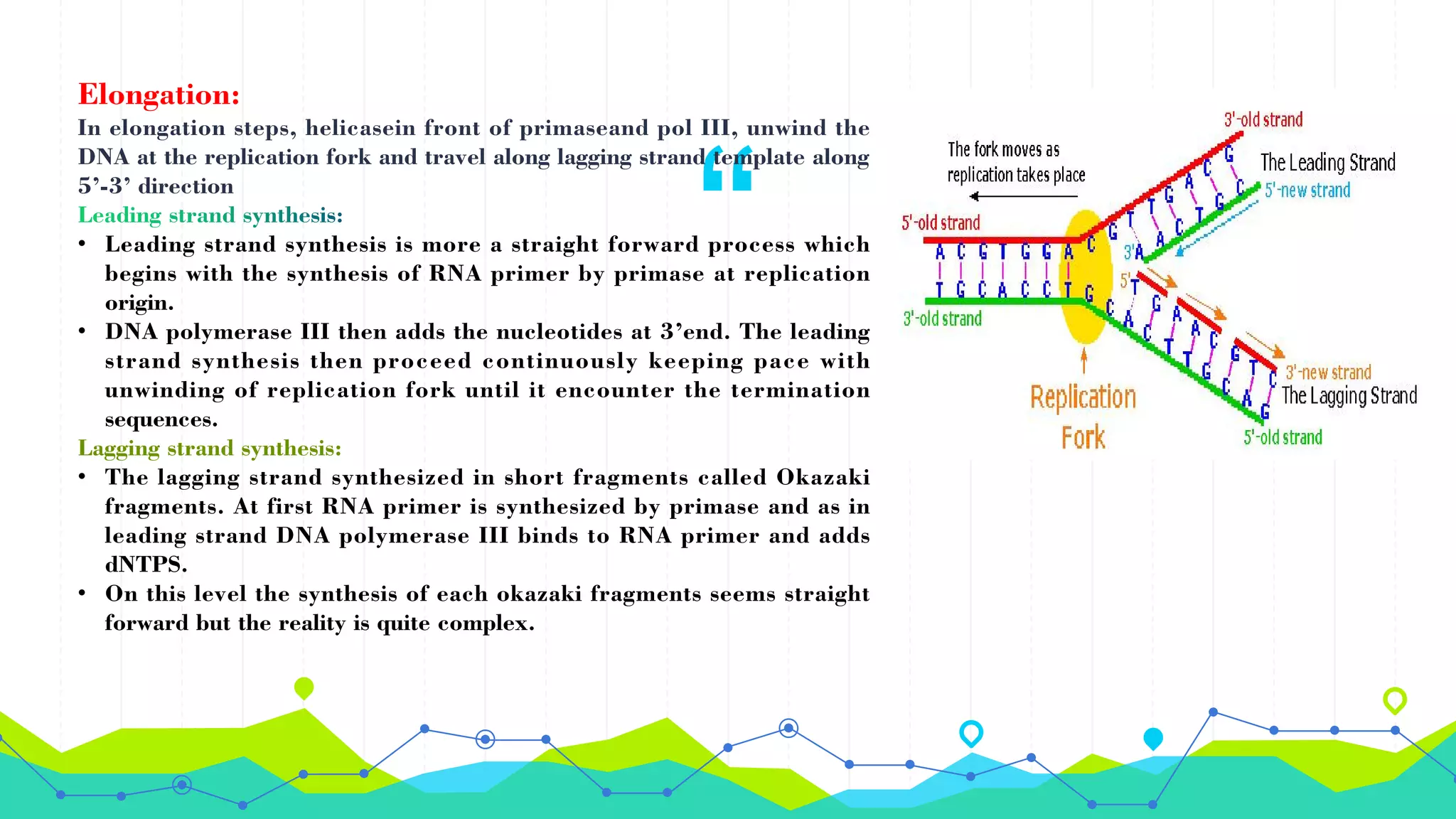 REPLICATIONS IN EUKARYOTES AND PROKARYOTES.pdf