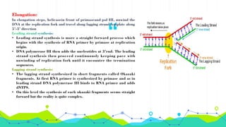 REPLICATIONS IN EUKARYOTES AND PROKARYOTES.pdf