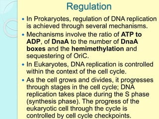 Replication, transcription, translation and its regulation | PPTX