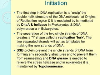 Replication, transcription, translation and its regulation | PPTX
