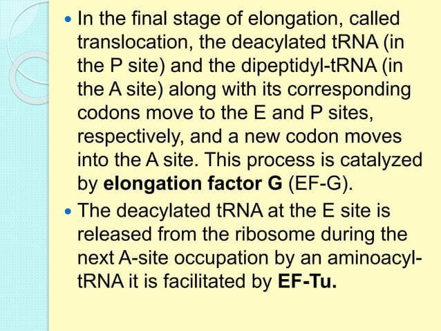 Replication, transcription, translation and its regulation | PPTX