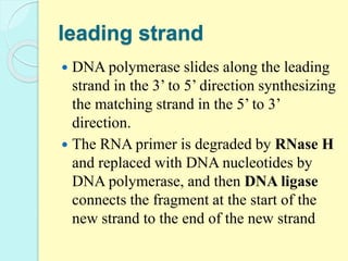 Replication, transcription, translation and its regulation | PPTX