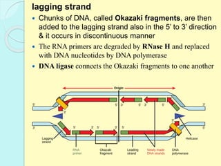 Replication, transcription, translation and its regulation | PPTX