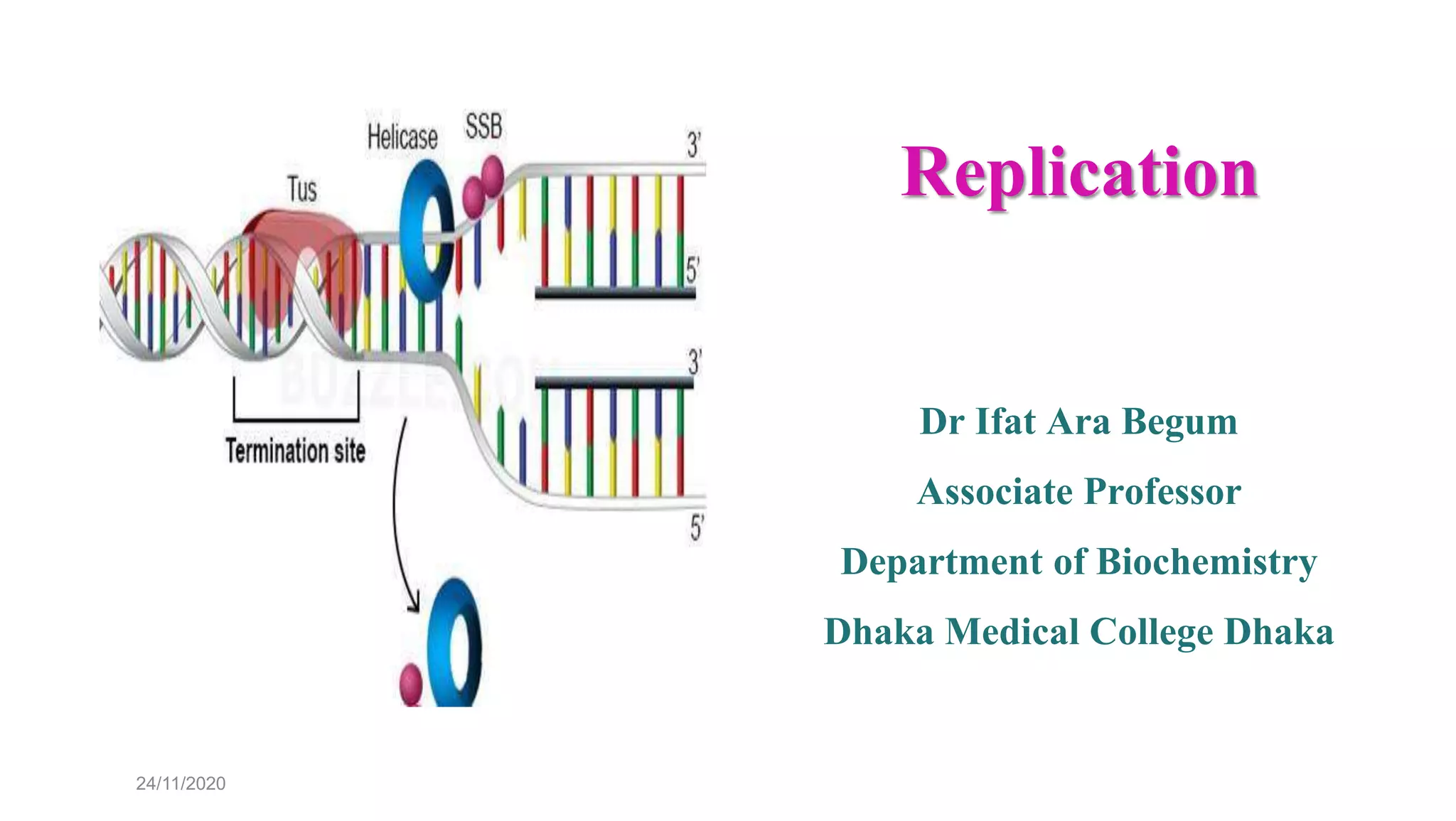 Dna Replication Medical School