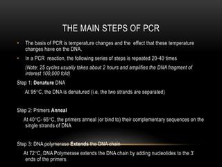 REPLICATION VS POLYMERASE CHAIN REACTION | PPTX