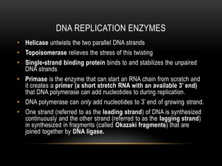 REPLICATION VS POLYMERASE CHAIN REACTION | PPTX