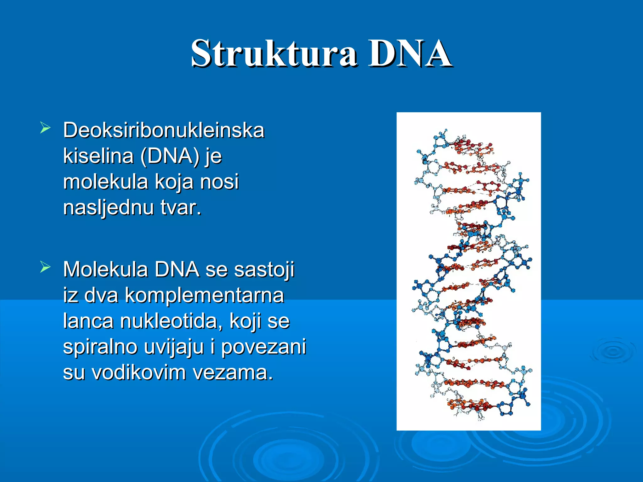 Replikacija DNA | PPT