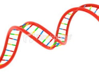 Replikasi DNA | PPTX