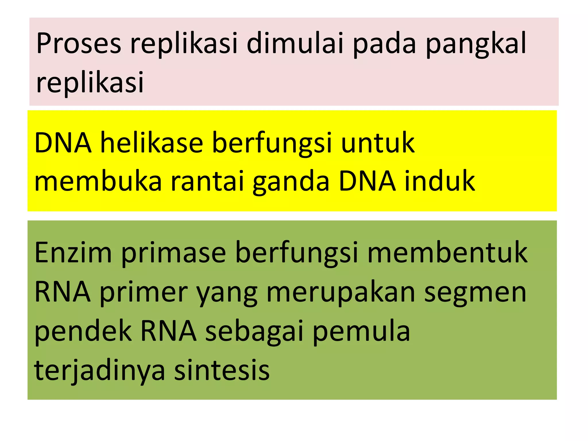 Replikasi dna | PPTX