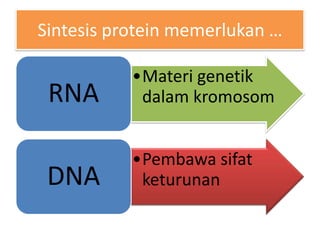 Replikasi dna | PPTX