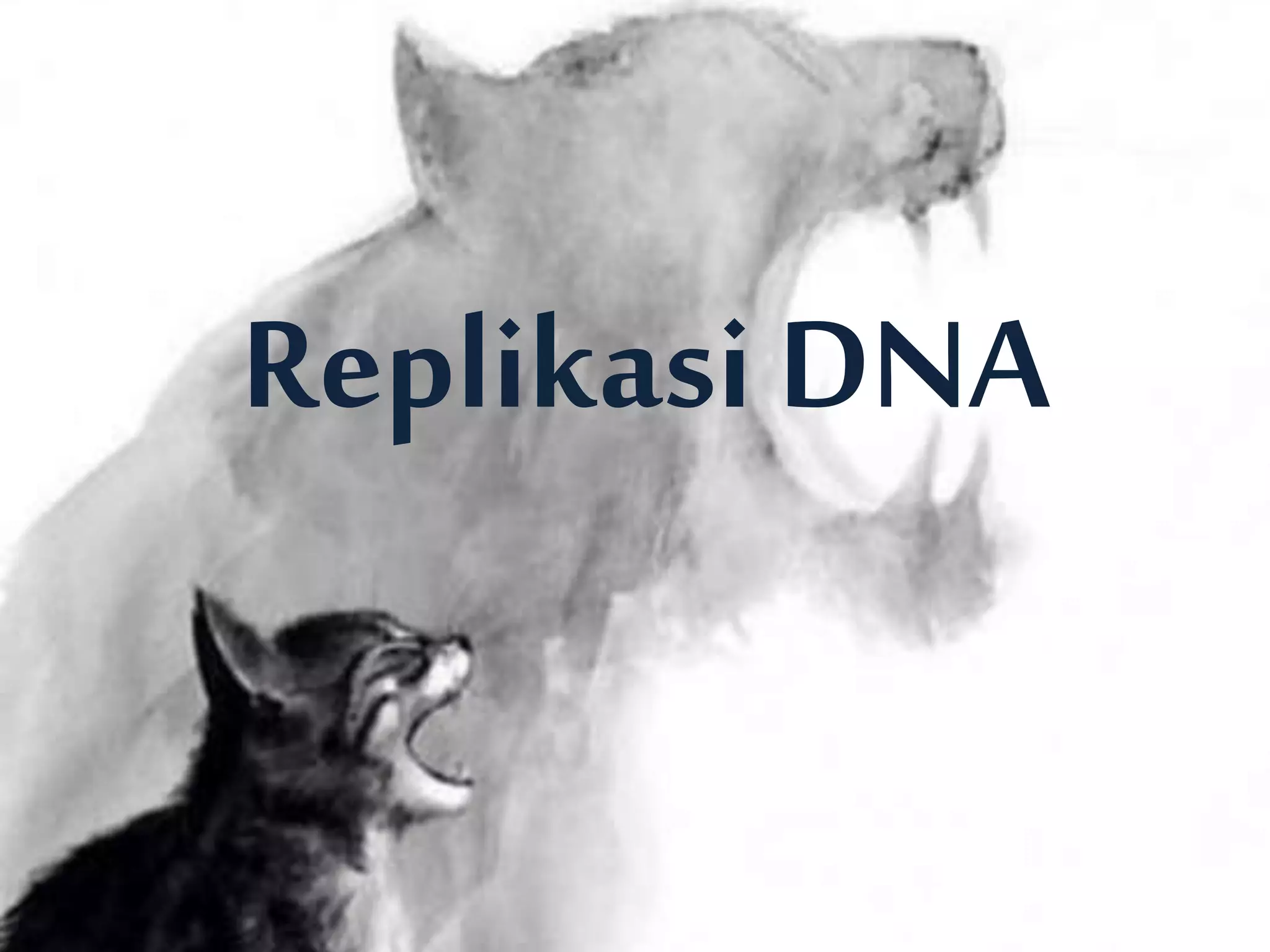 Replikasi DNA | PPTX