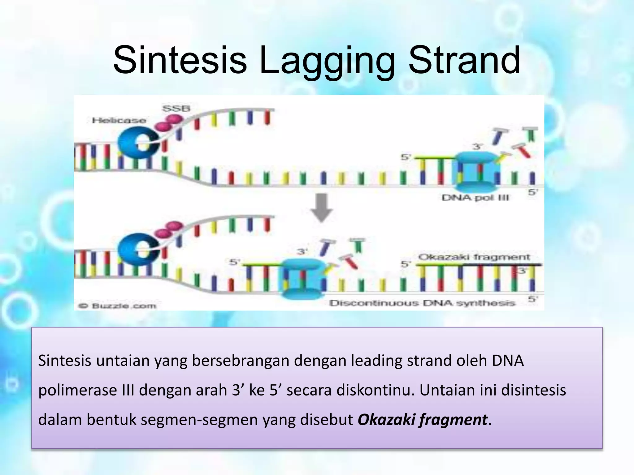 Replikasi DNA | PPTX