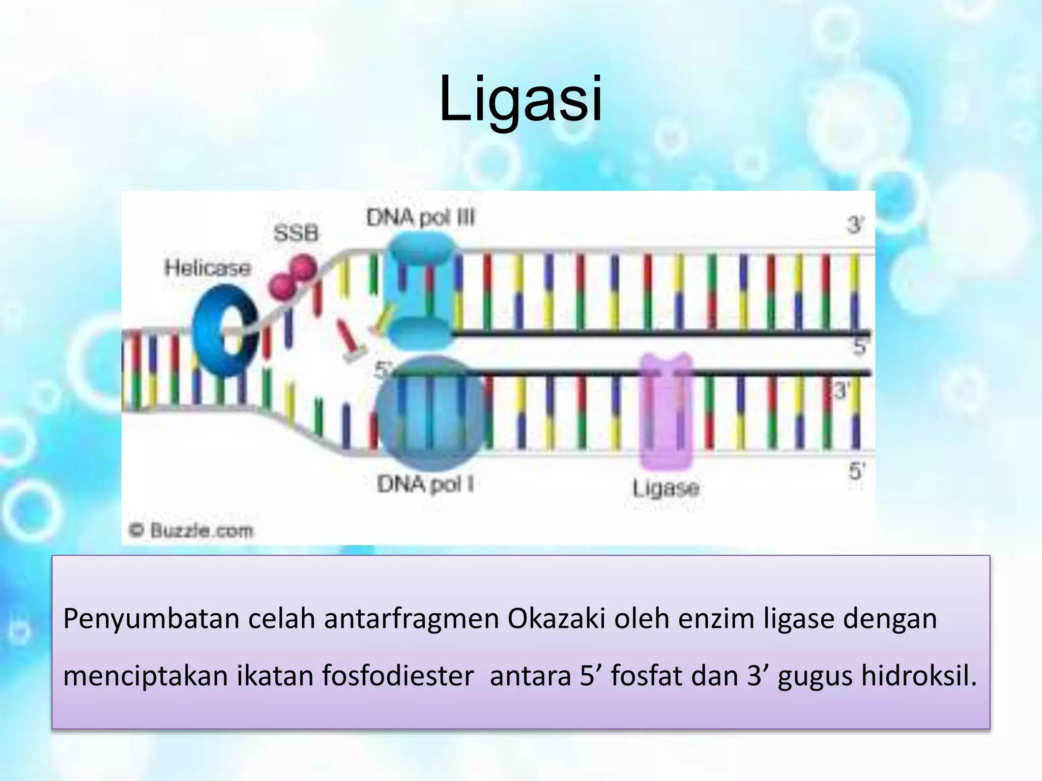 Replikasi DNA | PPTX