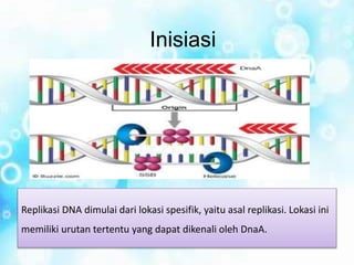 Replikasi DNA | PPT