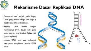 Materi Replikasi DNA_Helvi Maudy Saswita.pptx