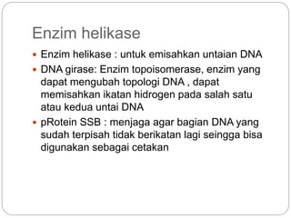 Replikasi dna pcr | PPT
