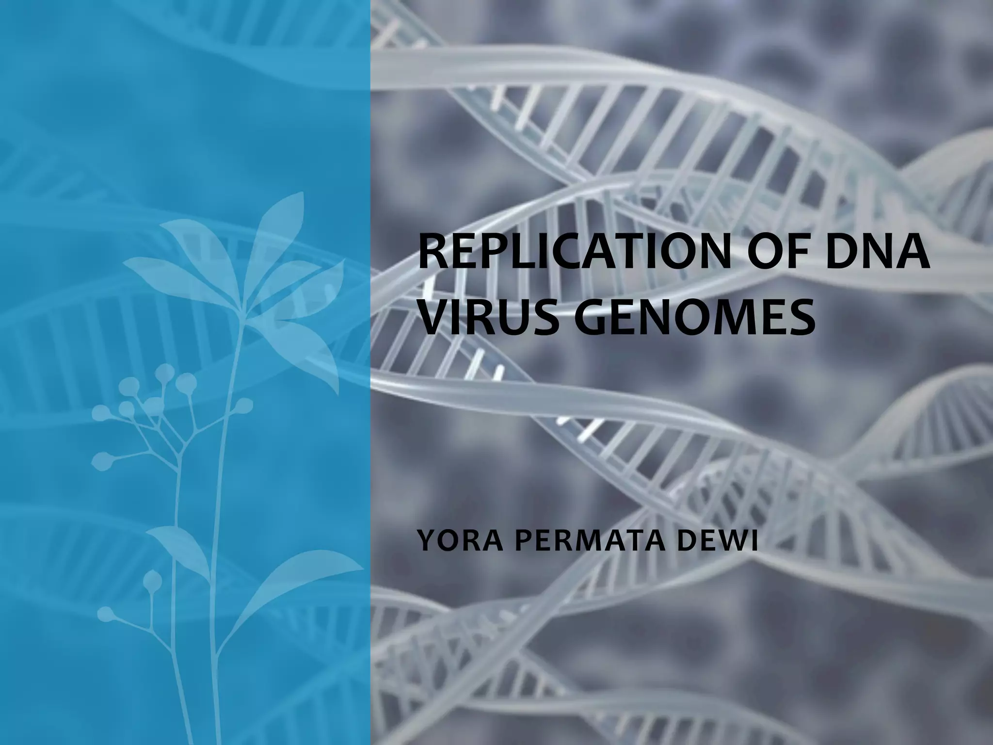 Replication of DNA Virus Genomes | PDF