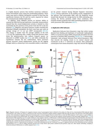 replicación 4.pdf