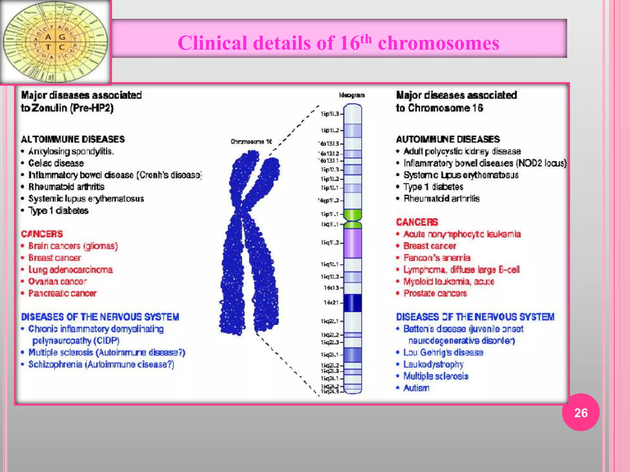 Rep SEQUENCING ANALYSIS | PPTX