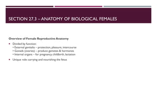Comprehensive Overview of the Human Reproductive System and Its ...