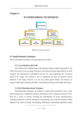 Digital Watermarking | PDF