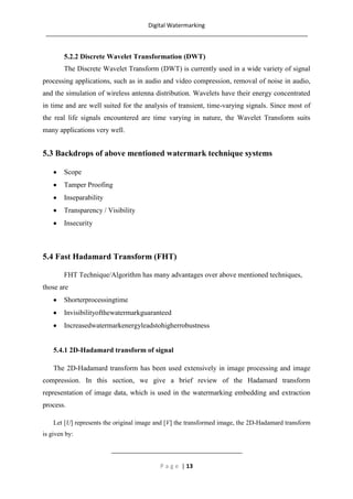 Digital Watermarking | DOCX | Computing | Technology & Computing