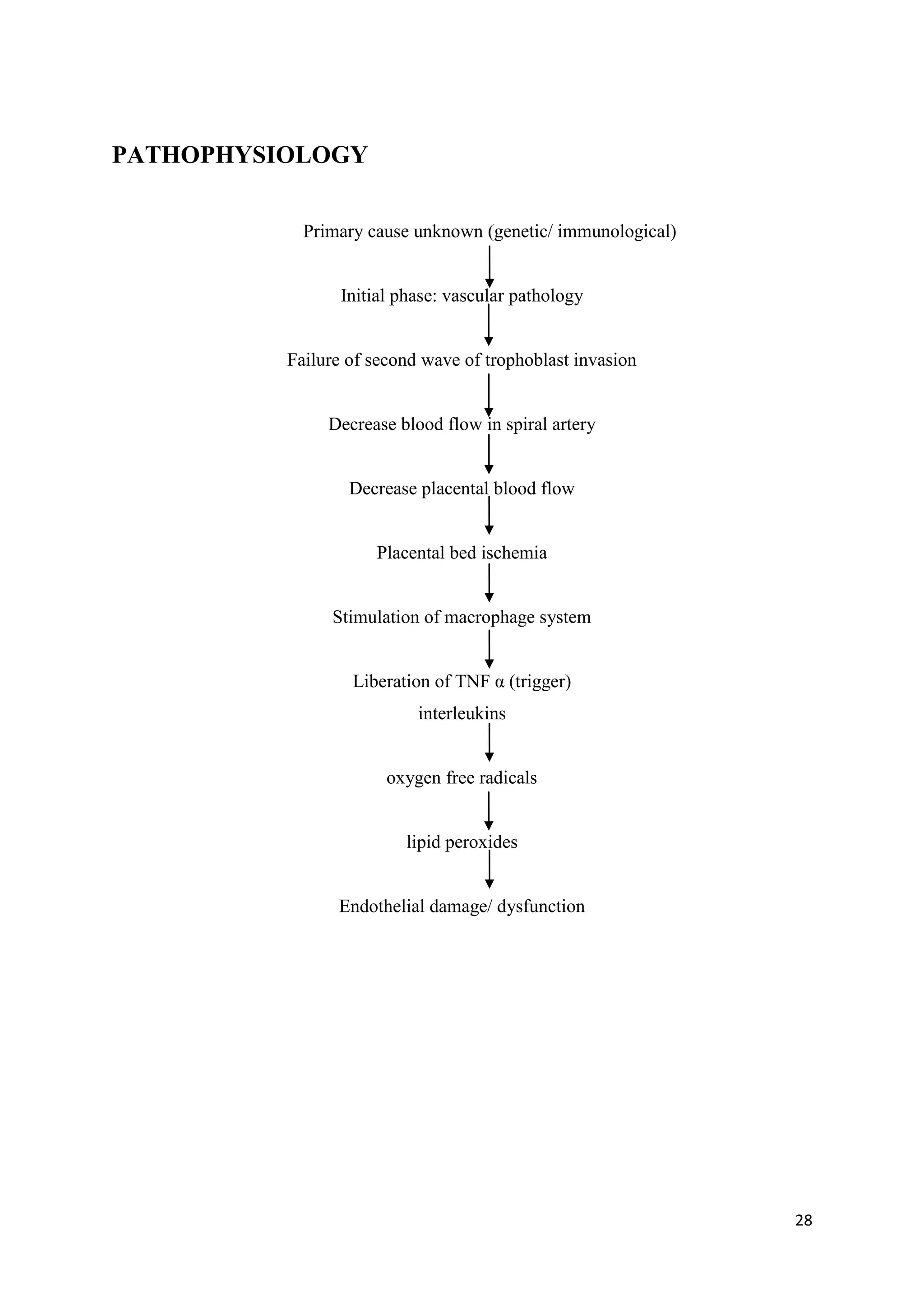 Case Study Report on PIH and Severe Pre eclampsia | DOCX
